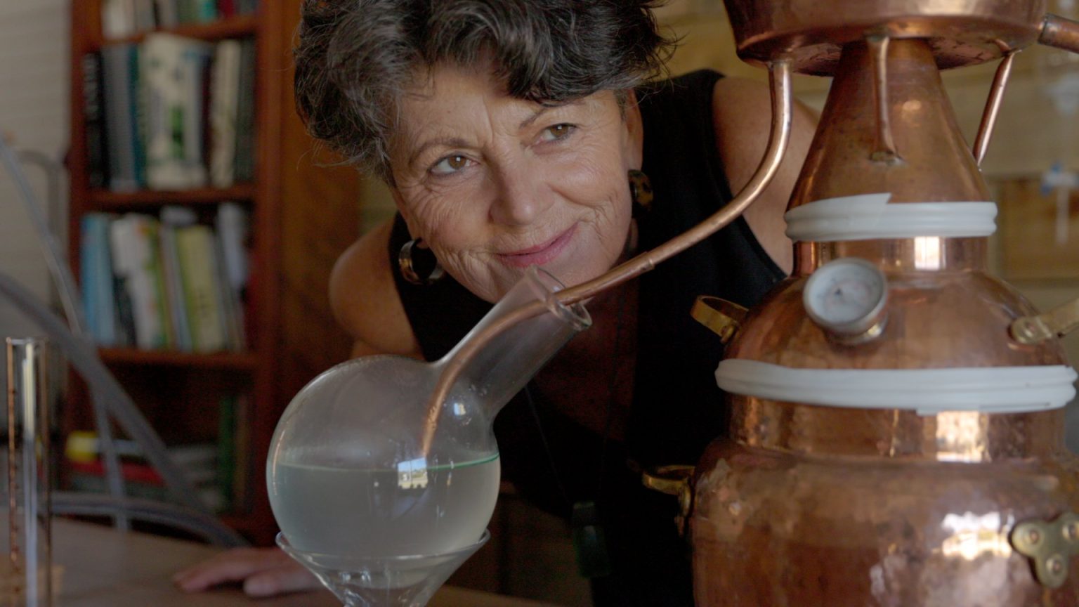 The Archive – The Alembics Lab