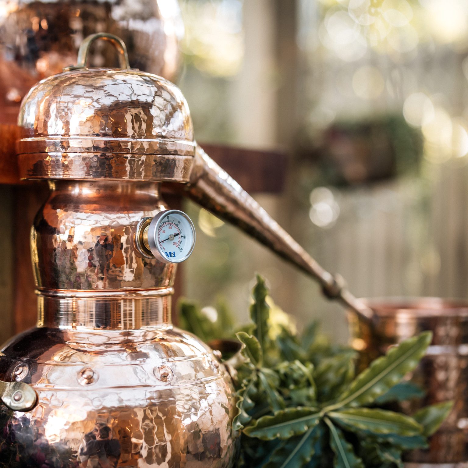 The Archive – The Alembics Lab